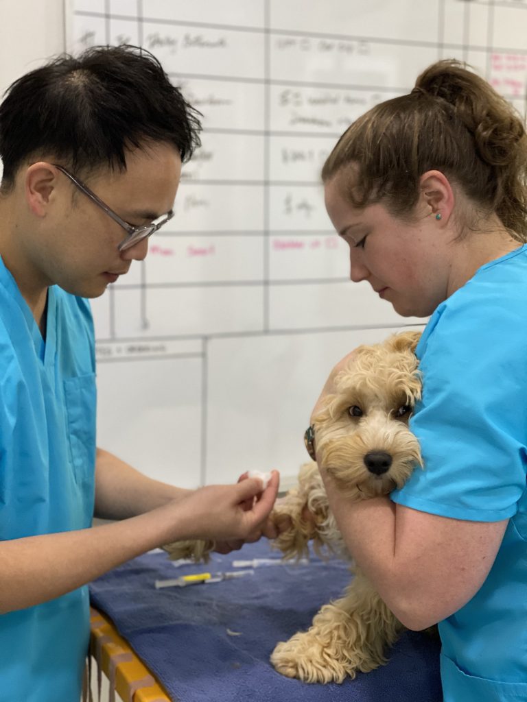 SAFERVETS® – Online Veterinary Safety Consultancy & Training Services